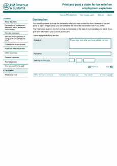 How to fill out your P87 Tax Form – FLiP